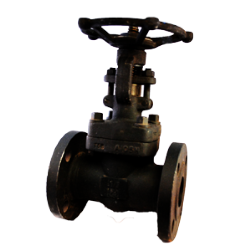 Válvula Industrial Compuerta A105 - trim 8 FL 150 1" - SBM - PTV | megacenter.cl